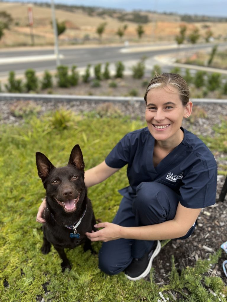 Meet The Team - Cameron Veterinary Services