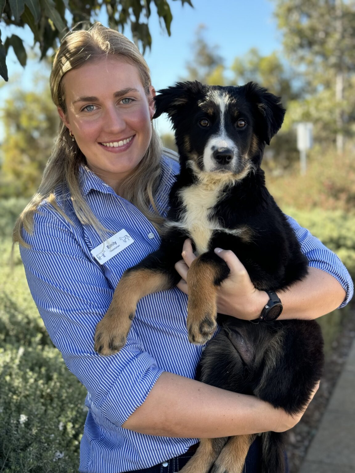 Veterinary services in Gawler and surrounds