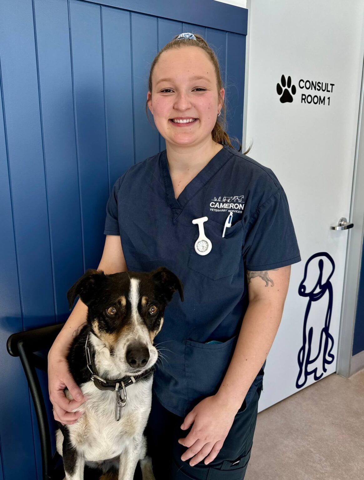 DOG GROOMING - Cameron Veterinary Services